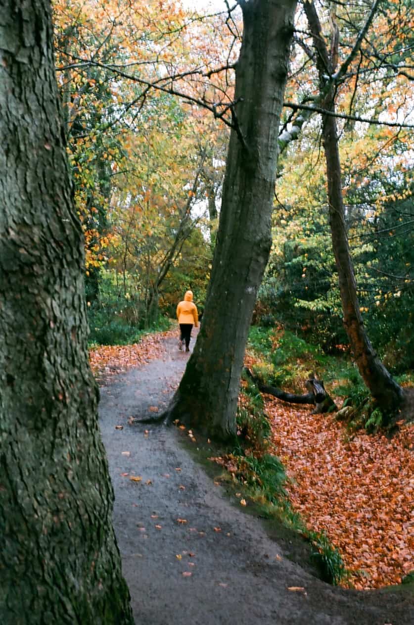 A walk in Roe Valley Country Park | HikersBlog